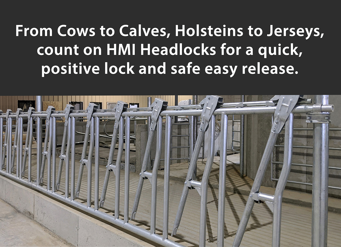 HMI Heavy Duty Headlocks